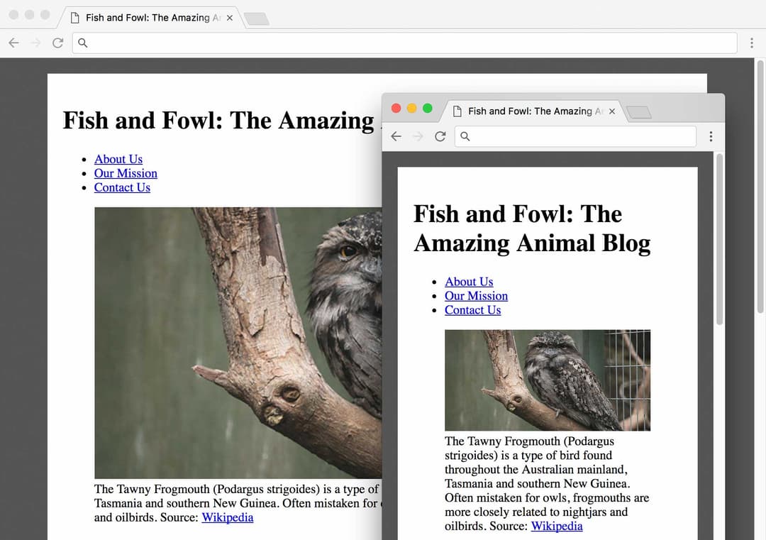 Challenge: Designing Your Own Styles: HTML & CSS Tutorial
